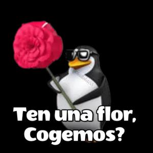 Se eliminó este mensaje ¿Qué borraste? - getsticker.com